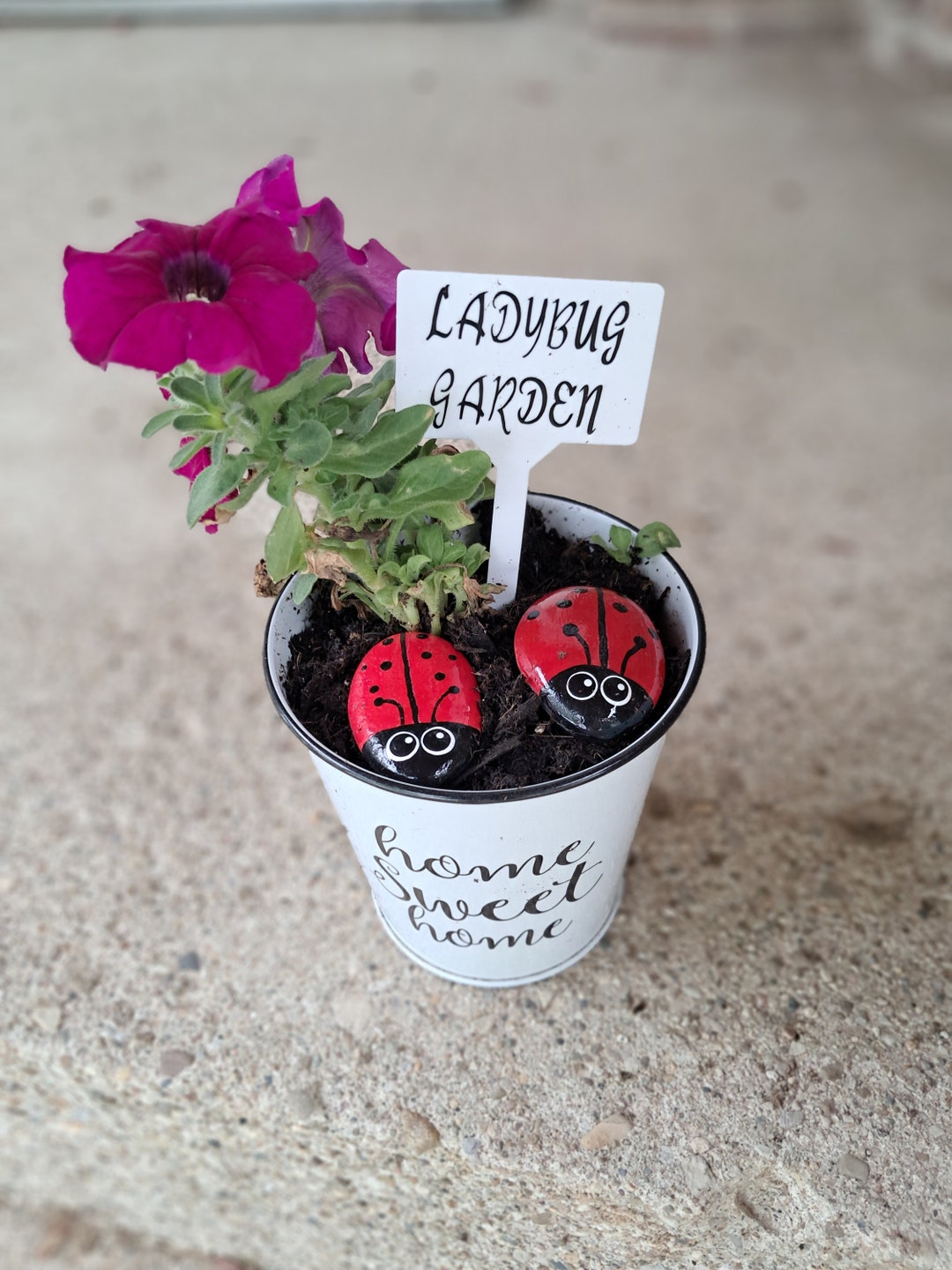 Ladybug Painted Rocks With Lady Bug Garden Sign, Set of 2 Rocks and a ...