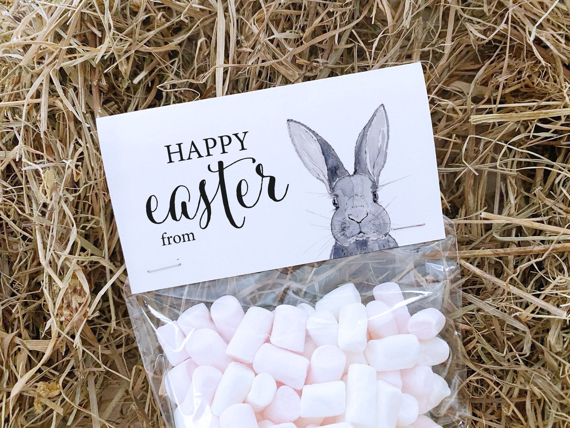 BUNNY BAIT Bag Topper Printable Personalise Easter Treat Candy Cookie ...
