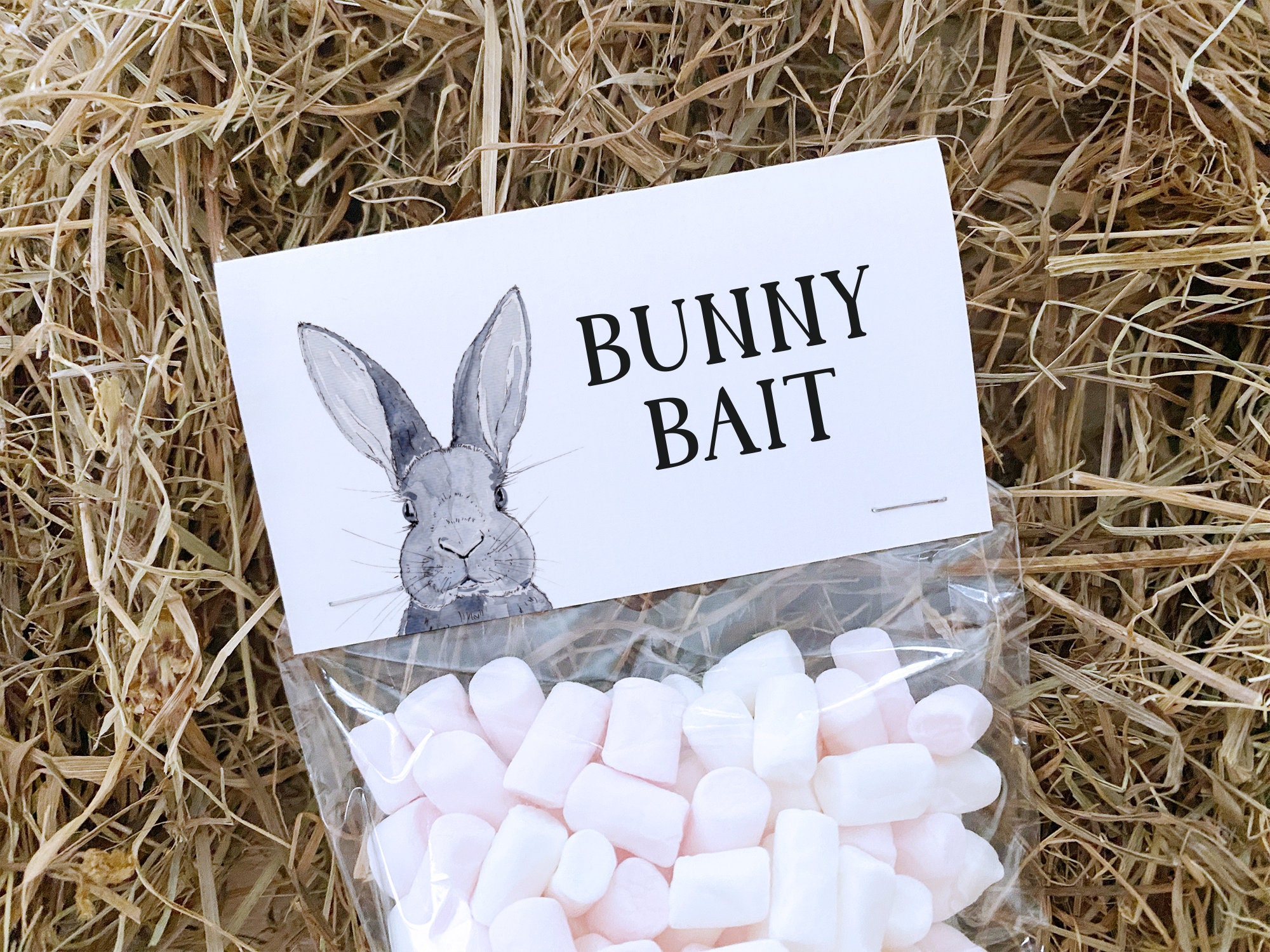 BUNNY BAIT Bag Topper Printable Personalise Easter Treat Candy Cookie ...