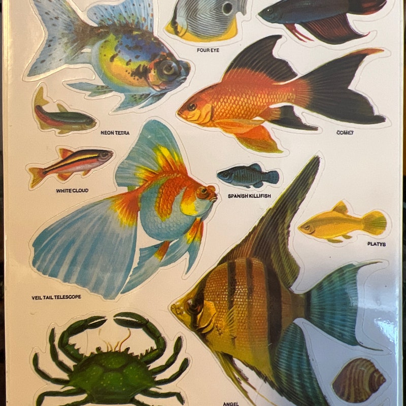 Fish Stickers - Etsy