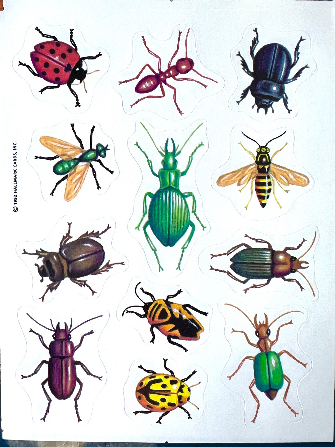 Vintage 1992 Bug Insect Sticker Sheet, Hallmark - Etsy