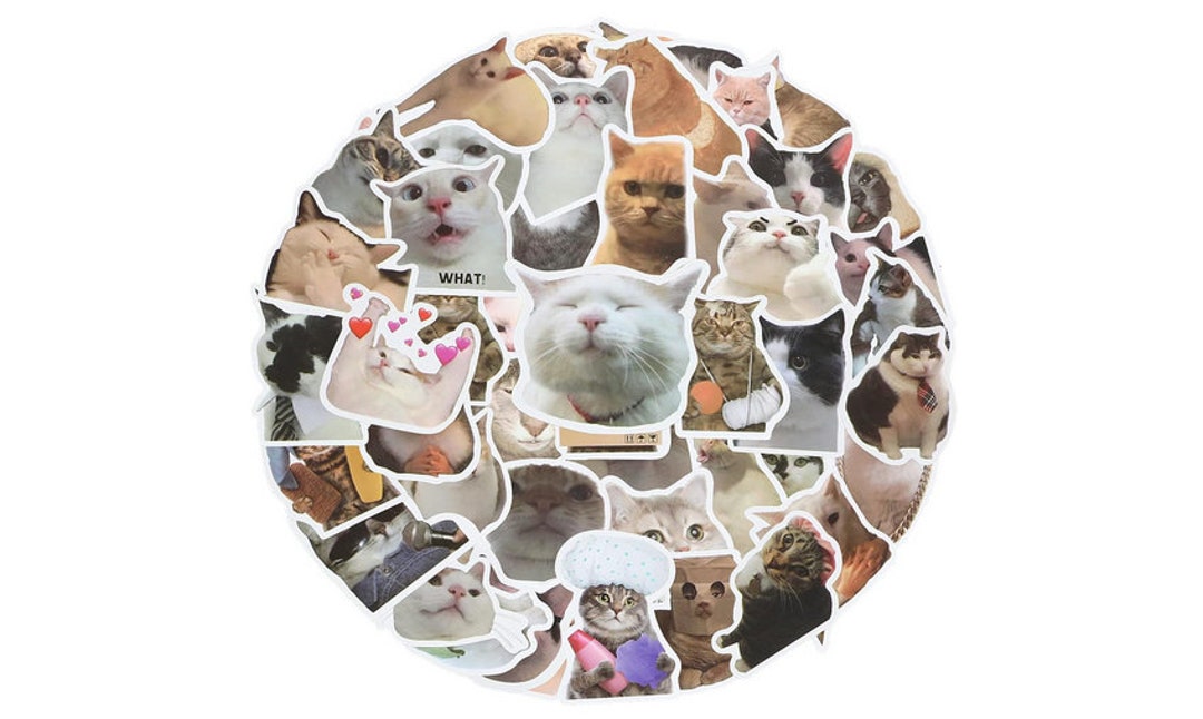 Cats Funny Cute Stickers, Pack of 10 Random, Stickers - Etsy