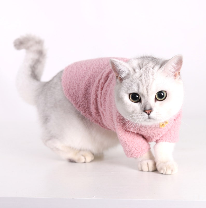 Costom-made Cute Cat Clothes Pink Autumn Winter Pet Clothing for Kitty ...