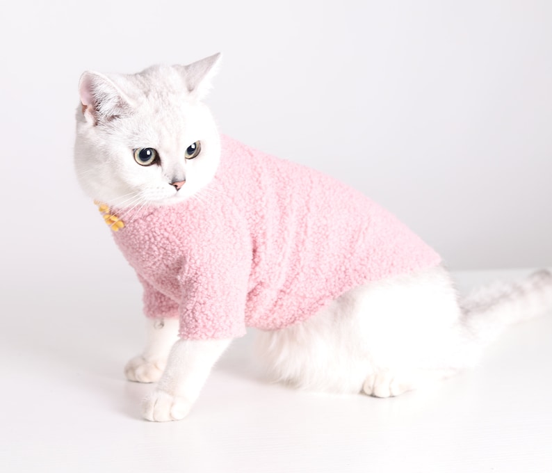 Costom-made Cute Cat Clothes Pink Autumn Winter Pet Clothing for Kitty ...