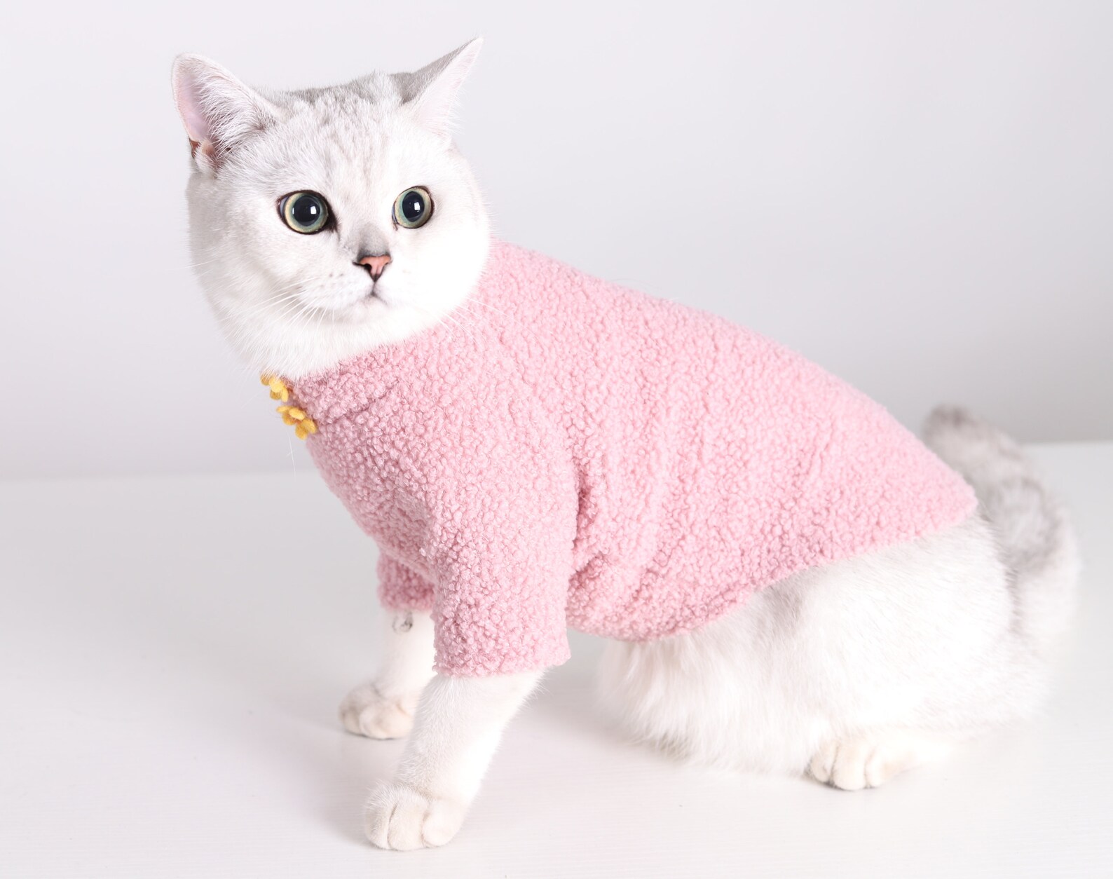 Costom-made Cute Cat Clothes Pink Autumn Winter Pet Clothing for Kitty ...