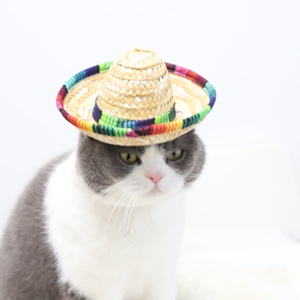 Cat Hat - Etsy