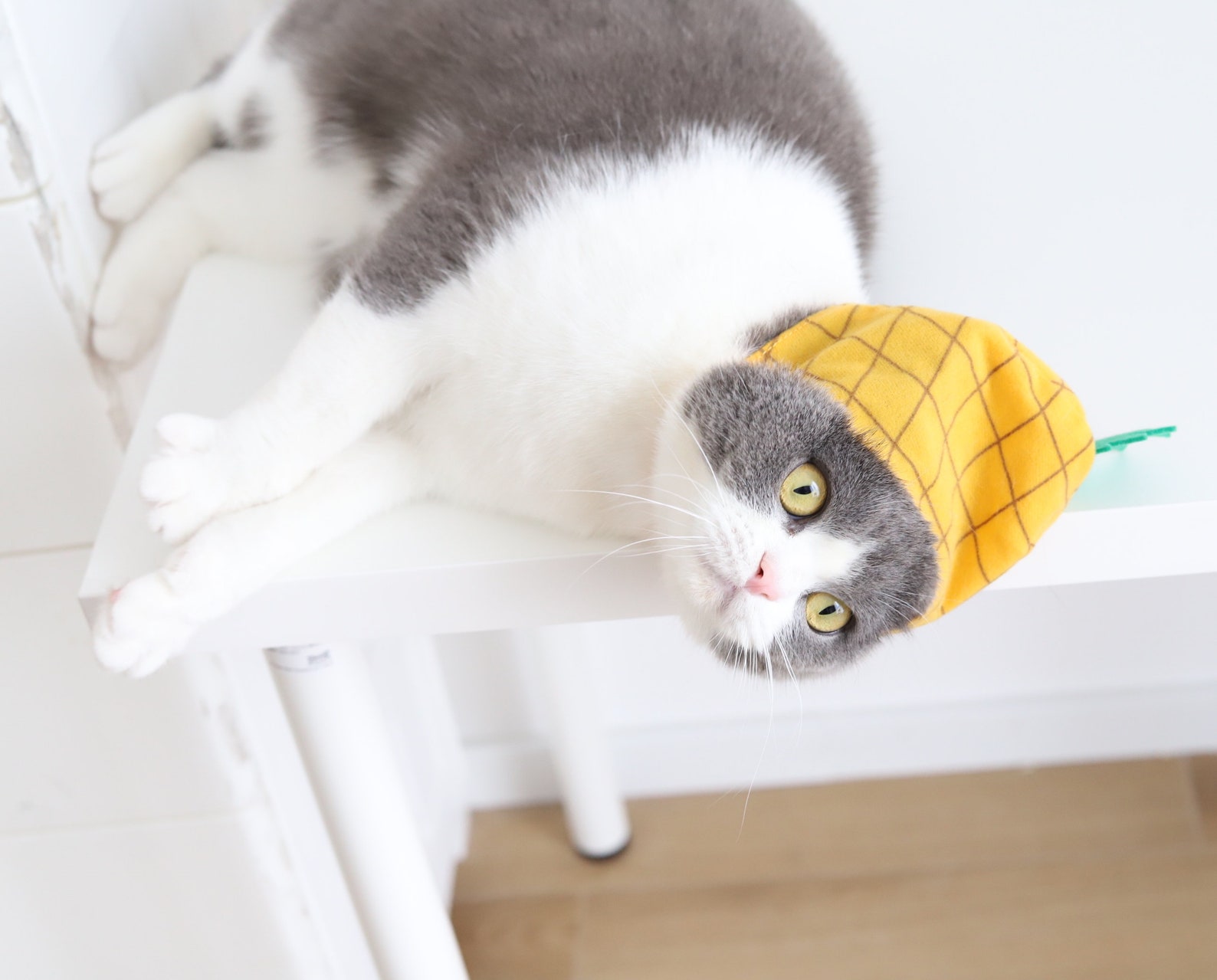 Cat Hat / Cat Cap /pineapple-shaped /lemon-shaped/cherry-shaped/orange ...