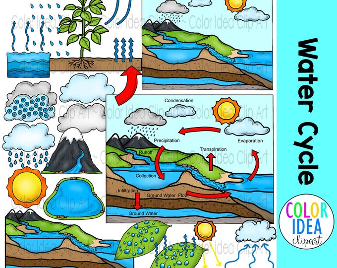Water Cycle Anchor Chart - Etsy