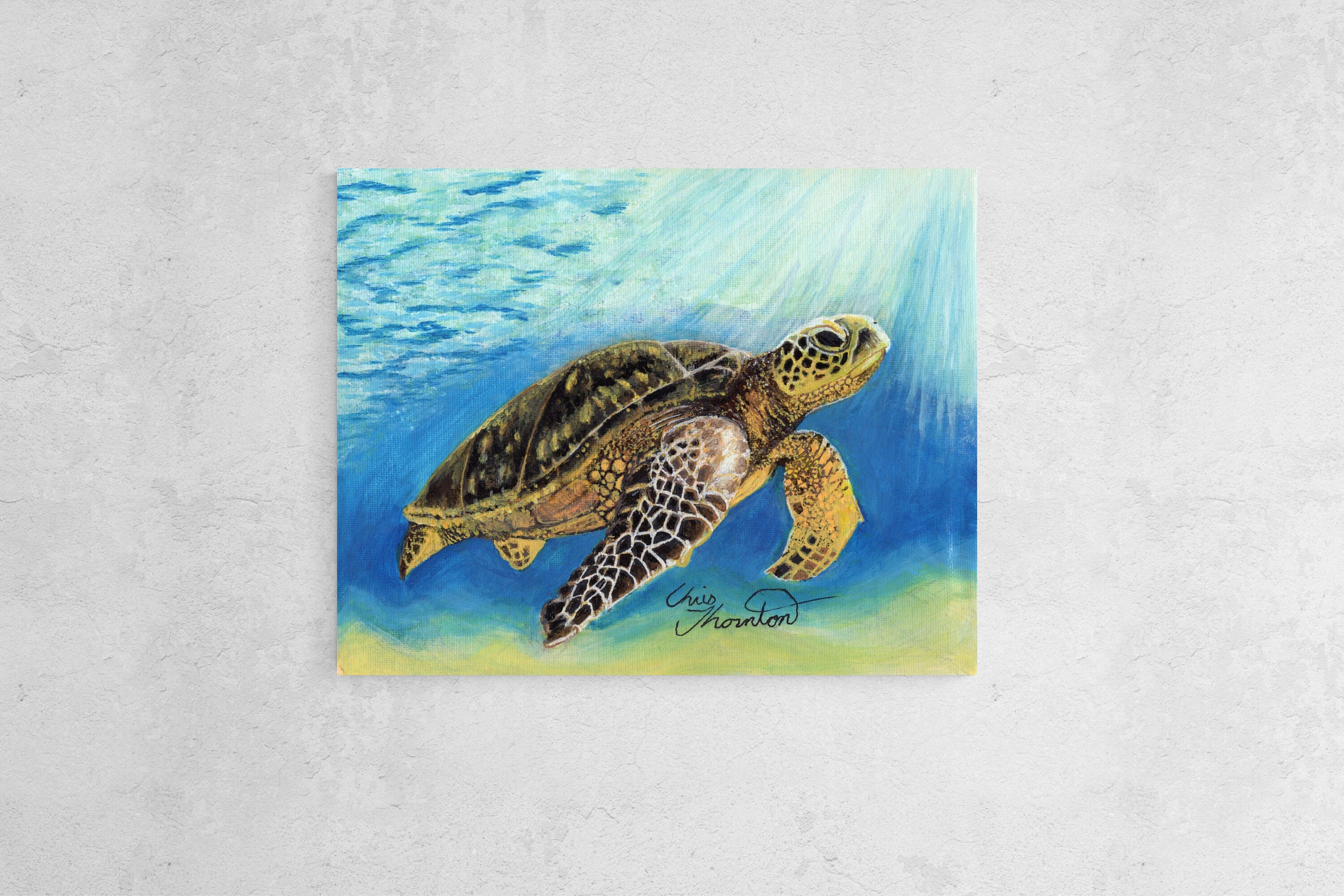 Layla the Loggerhead Sea Turtle Fine Art Print By: Chris Thornton - Etsy