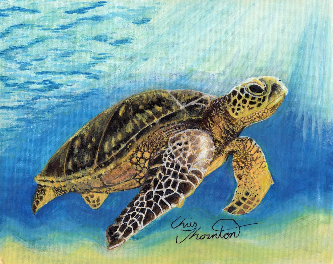 Layla the Loggerhead Sea Turtle Fine Art Print By: Chris Thornton - Etsy