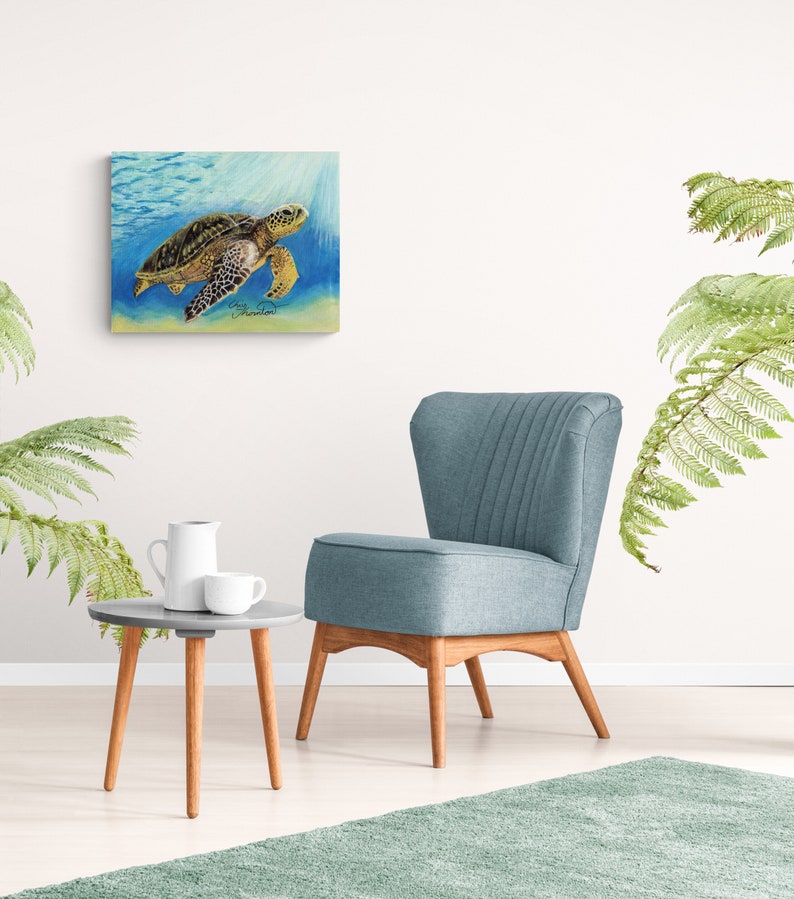 Layla the Loggerhead Sea Turtle Fine Art Print By: Chris Thornton - Etsy