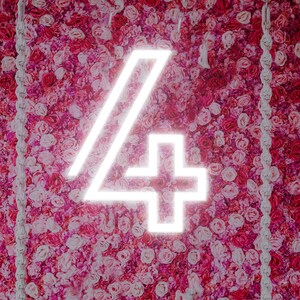 Neon Sign Custom Birthday Decor, Neon Light Party Decoration, Led Sign ...