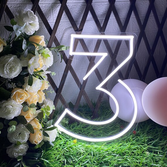 Neon Sign Custom Number 0-9 LED Neon Light 21st Twenty One | Etsy Australia