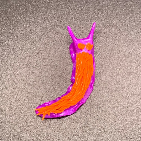 Spanish Shawl - Etsy