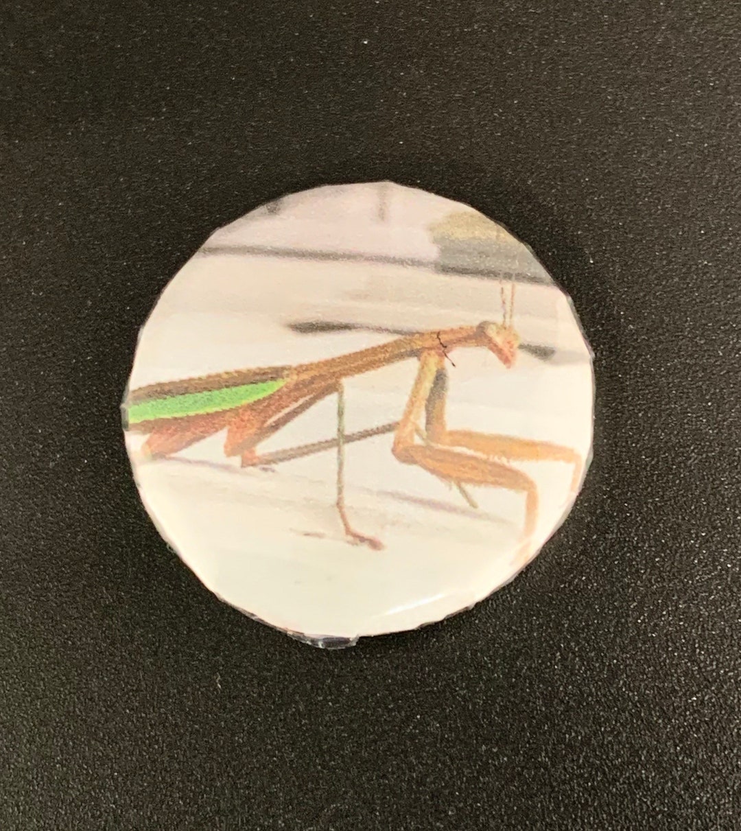 Praying Mantis (petite Button Pin) - Etsy