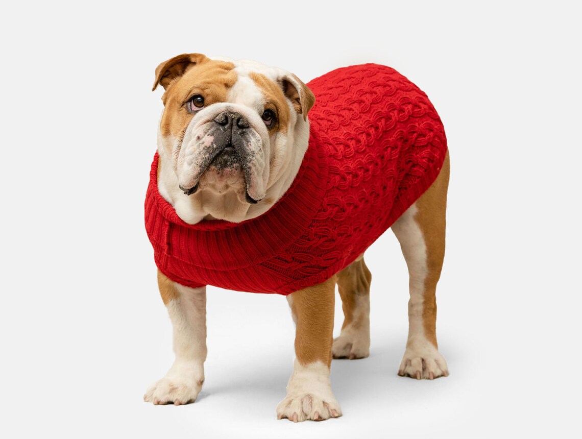 Hotdog Red Cable Dog Jumper - Etsy UK