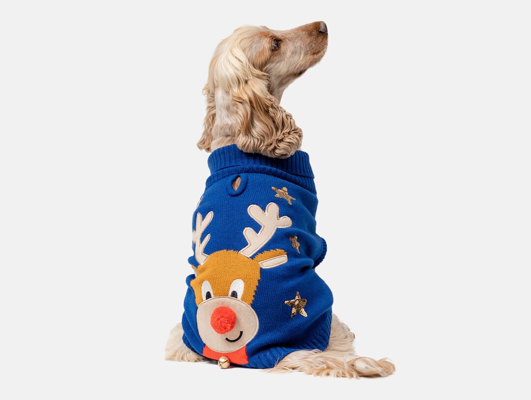 Dog Christmas Rudolf Blue Jumper - Etsy