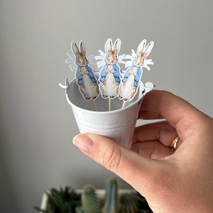 Peter Rabbit Cupcake Toppers, Peter Rabbit Theme, Beatrix Potter Baby ...