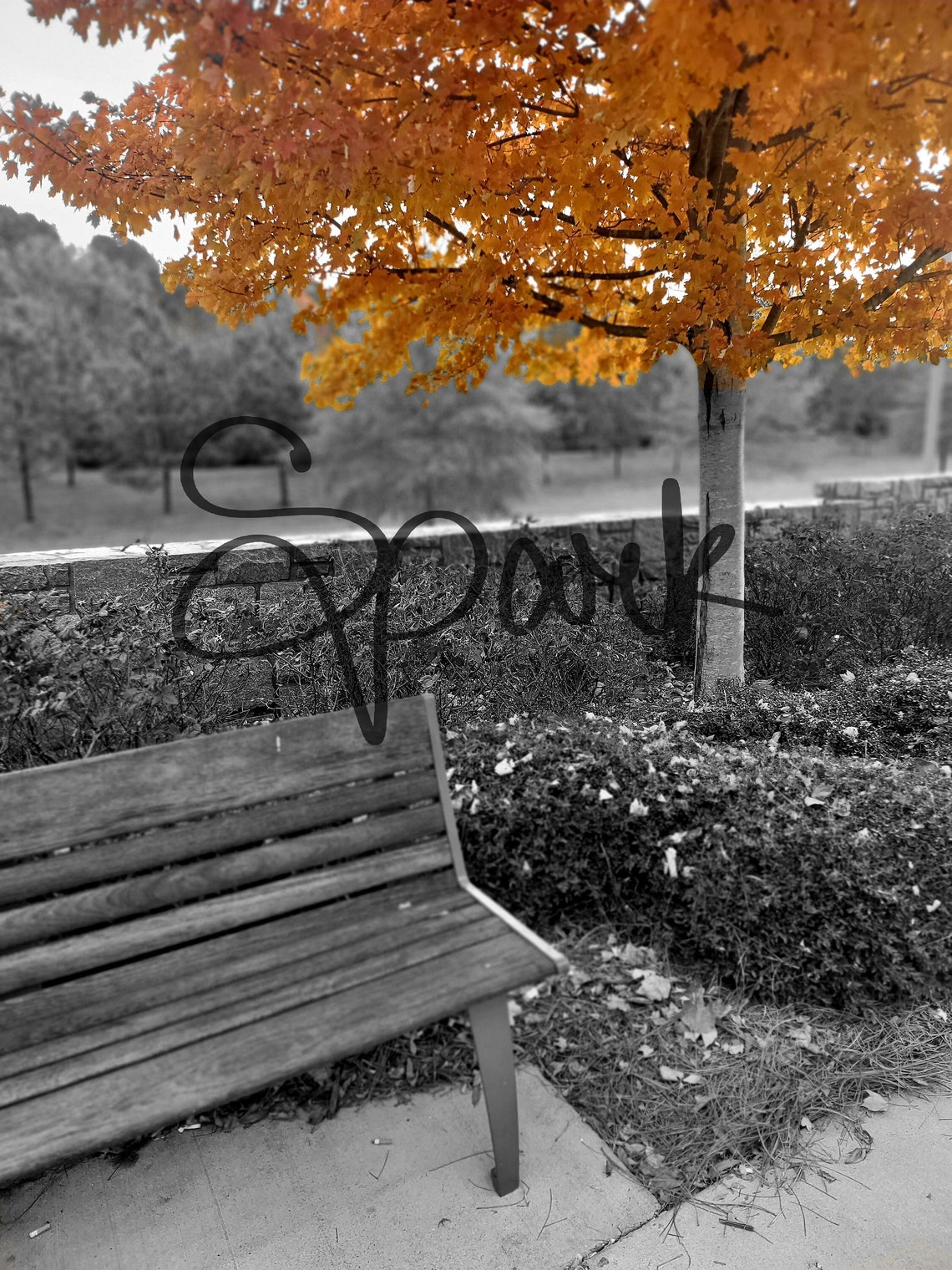 Falling Into a New Season - Etsy