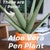 Spongebob & Squidward House Planters Various Sizes / Bikini Bottom ...