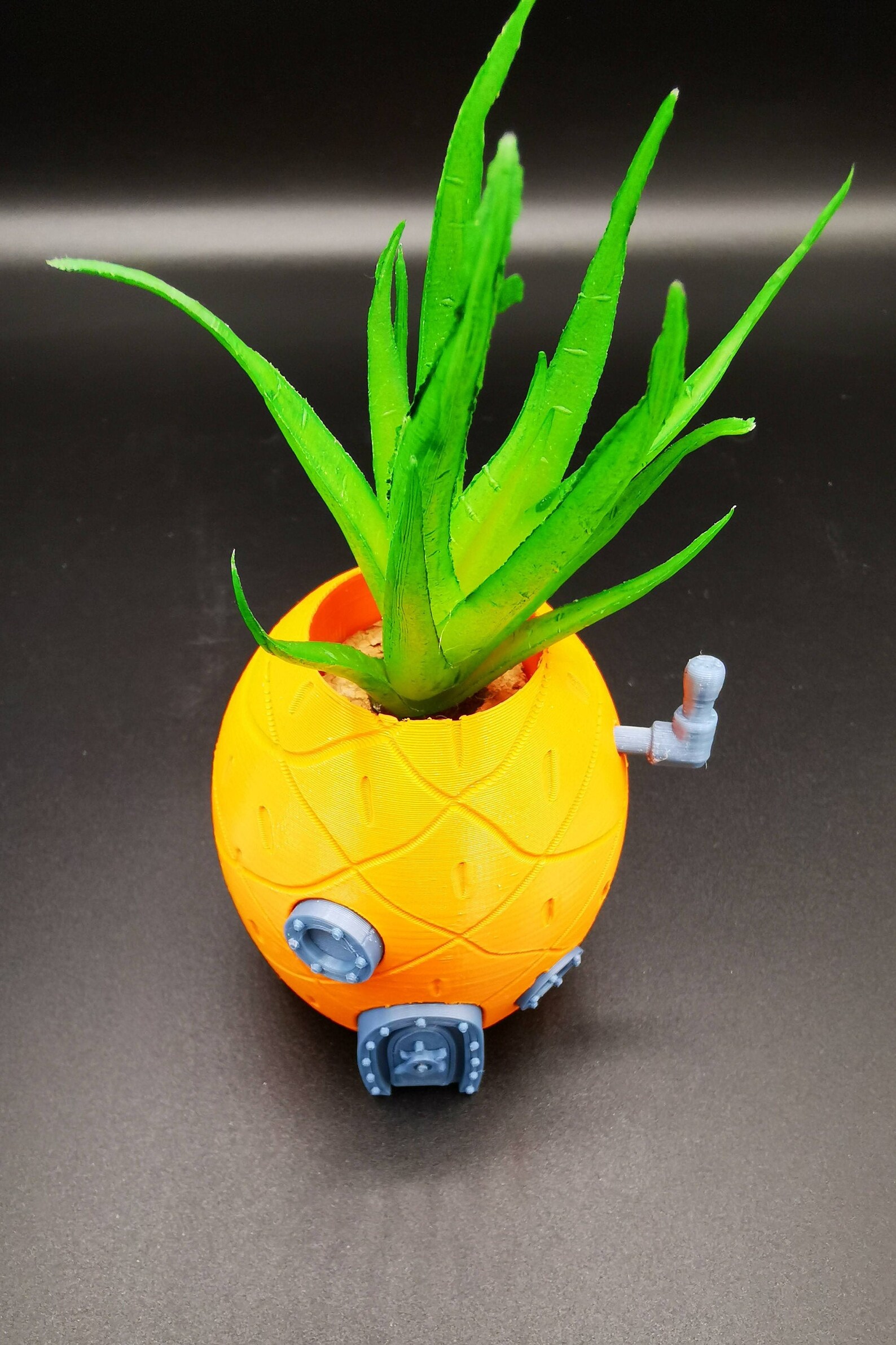 Spongebob & Squidward House Planters Various Sizes / Bikini | Etsy