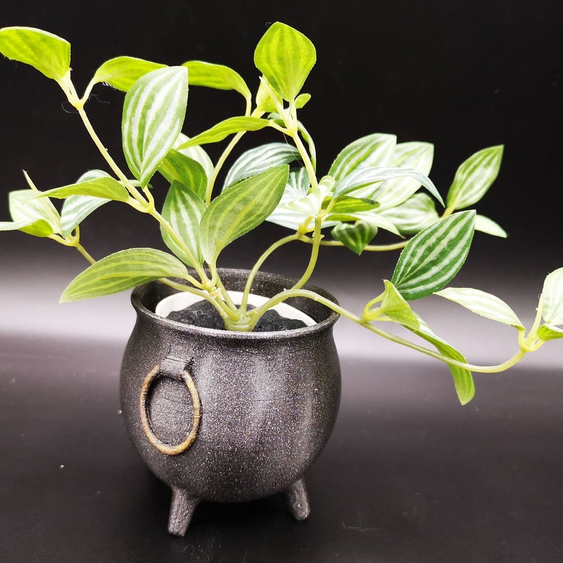 Candy Planter - Etsy