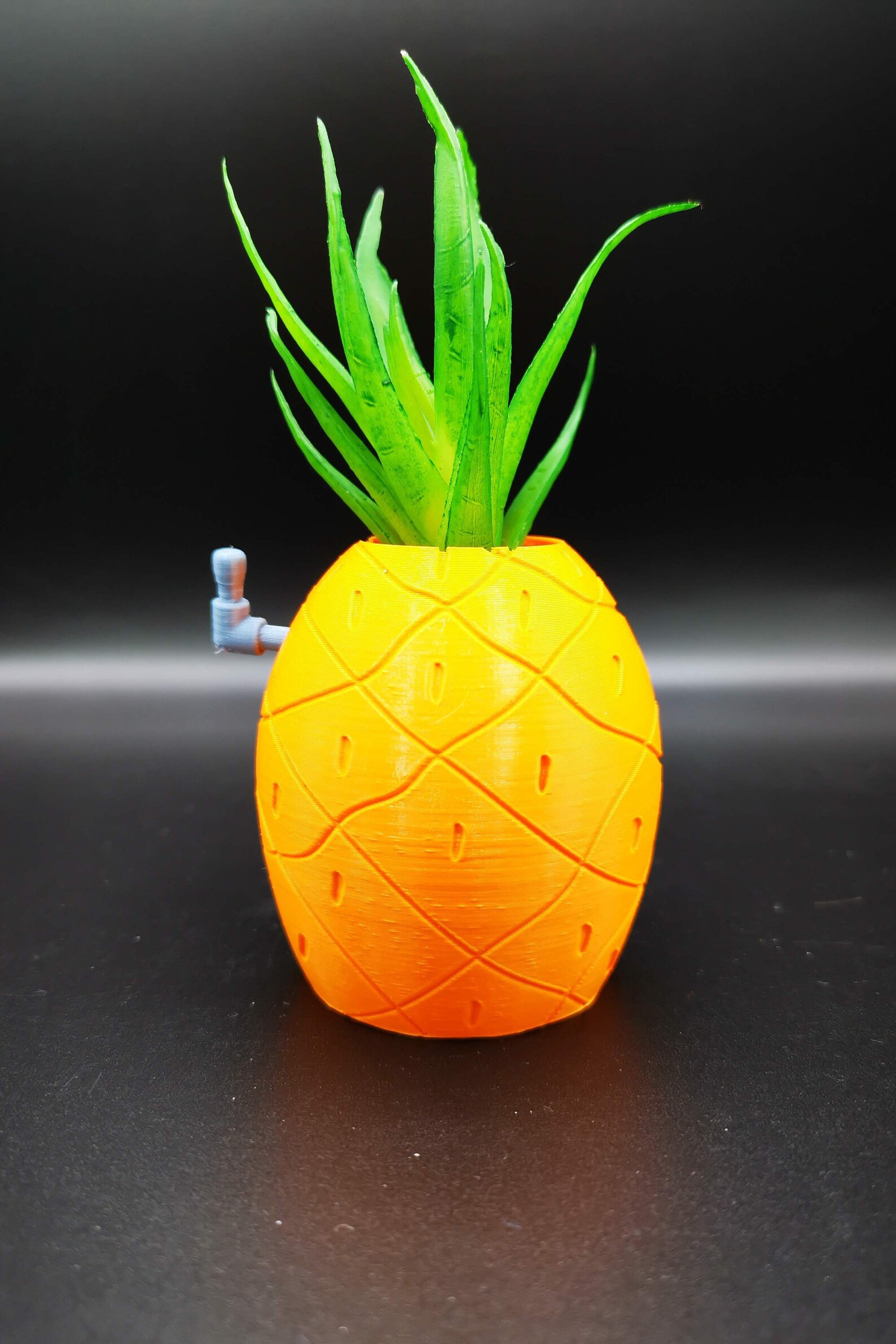 Spongebob & Squidward House Planters Various Sizes / Bikini | Etsy
