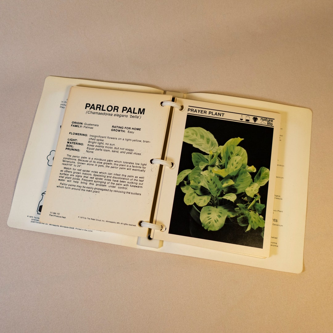 Vintage Retro Indoor Plant Guide 'plants for My Home' Binder 1975 ...