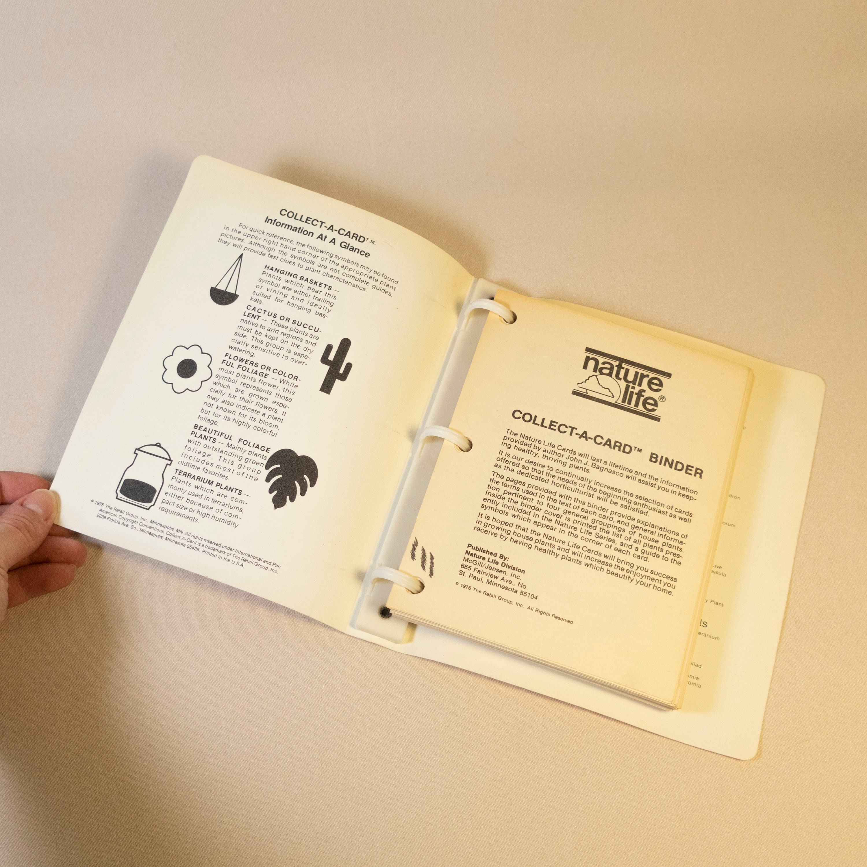 Vintage Retro Indoor Plant Guide 'plants for My Home' Binder 1975 ...