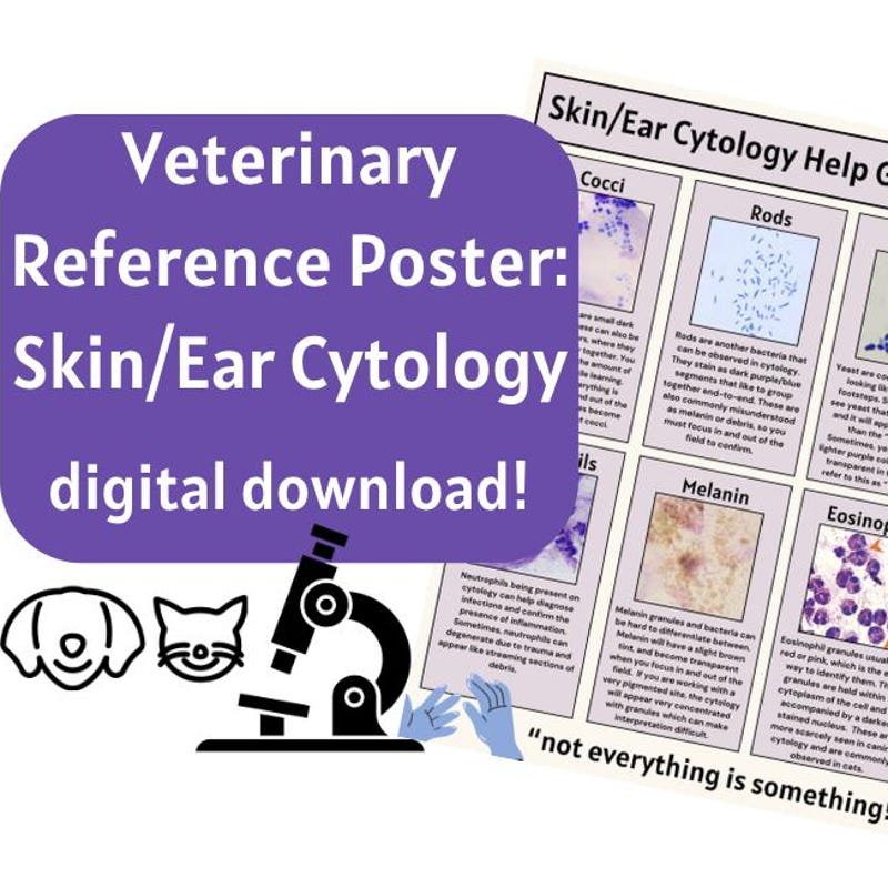 Vet Stuff - Etsy