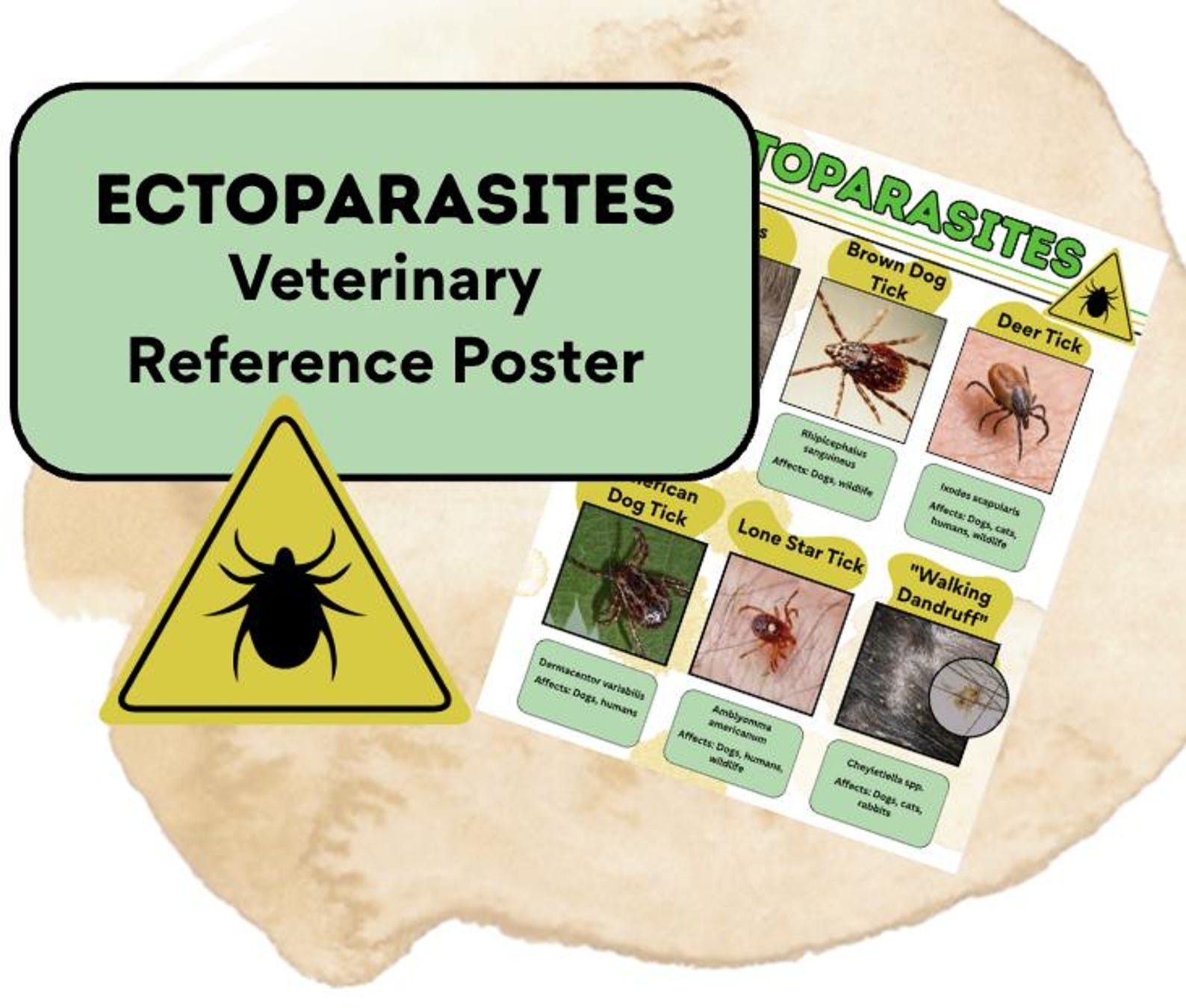 Veterinary Ectoparasite Cheat Sheet | Flea Tick & Mite Reference Poster ...