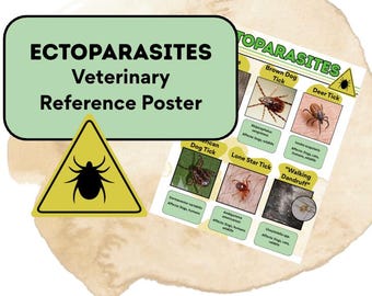 Veterinary Ectoparasite Cheat Sheet | Flea Tick & Mite Reference Poster ...