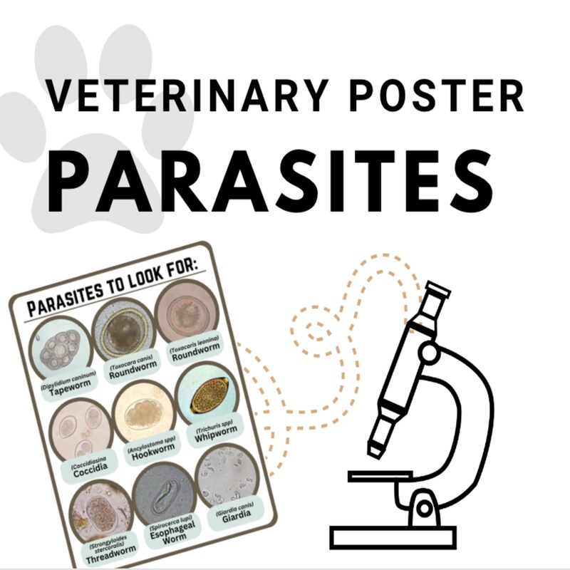 Veterinarian Office Poster - Etsy