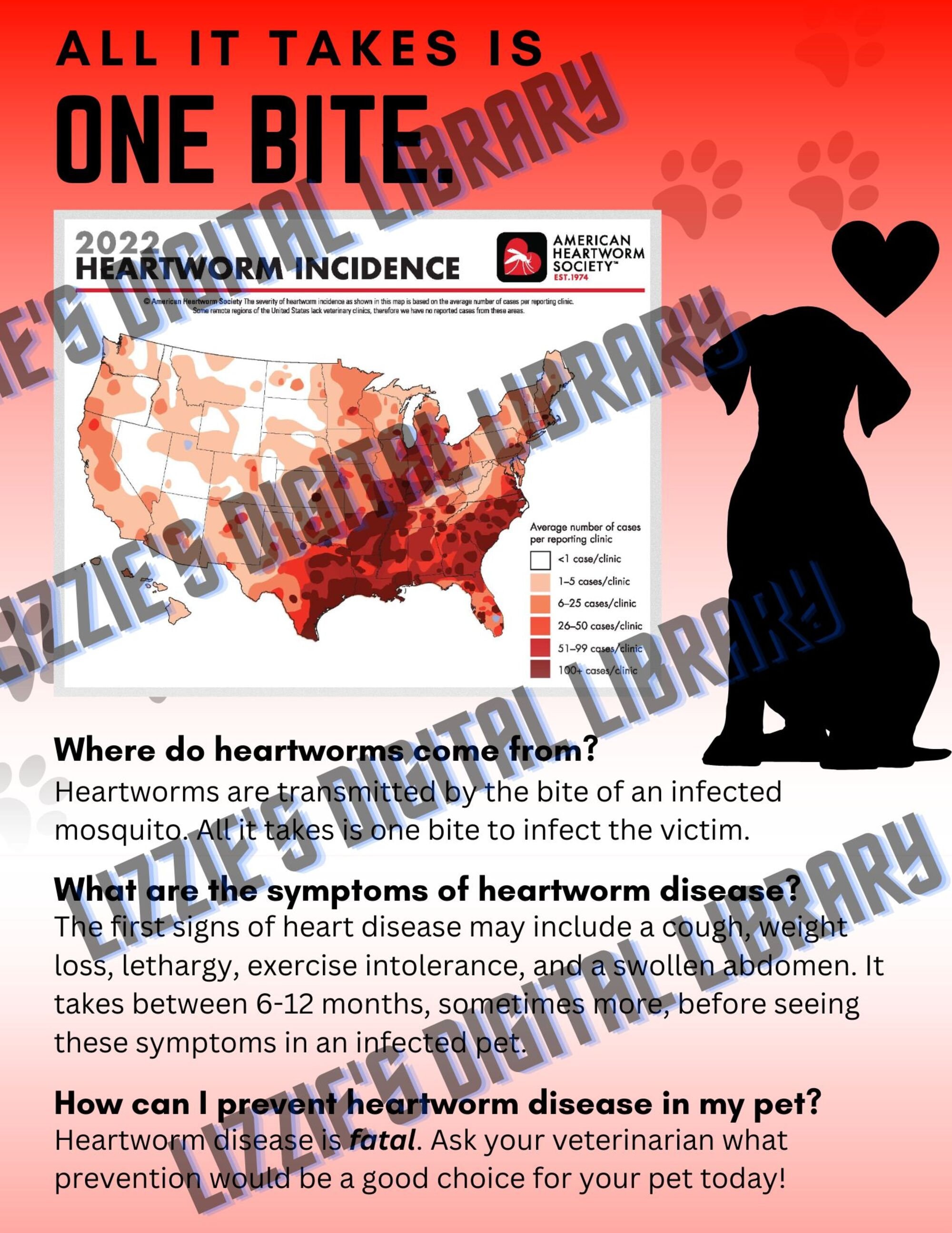 Heartworm Disease Client Flyer/handout - Veterinary Poster - Etsy