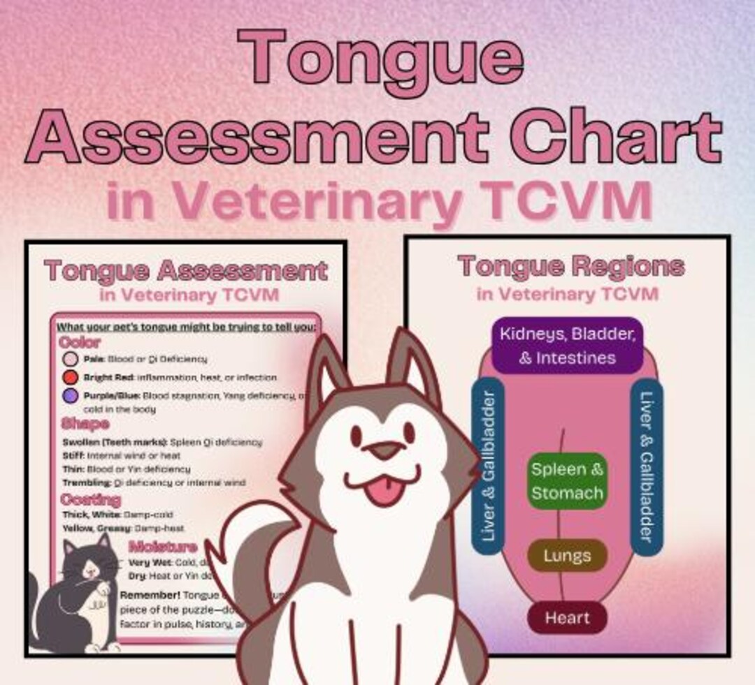 Veterinary TCVM Tongue Chart Bundle | Printable Pet Tongue Assessment ...