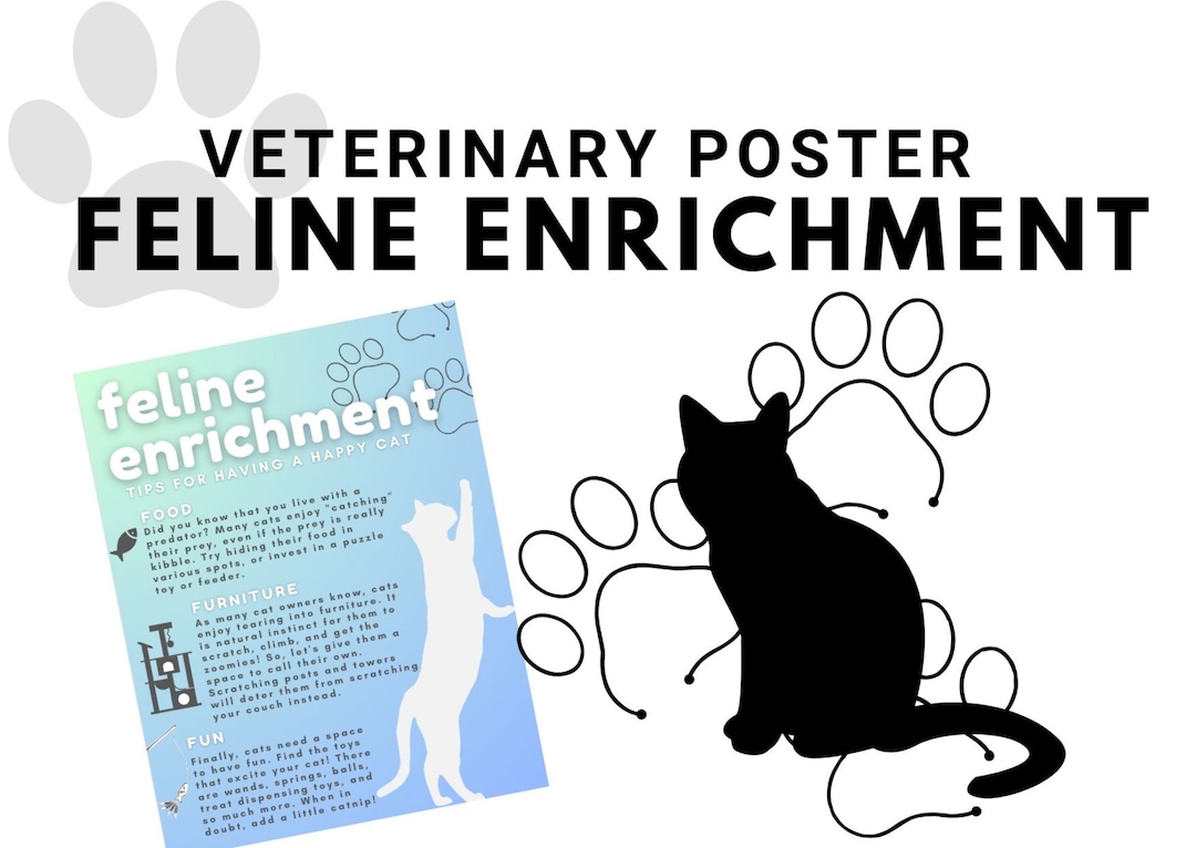 Feline Enrichment Client Handout/flyer - Veterinary Poster - Etsy
