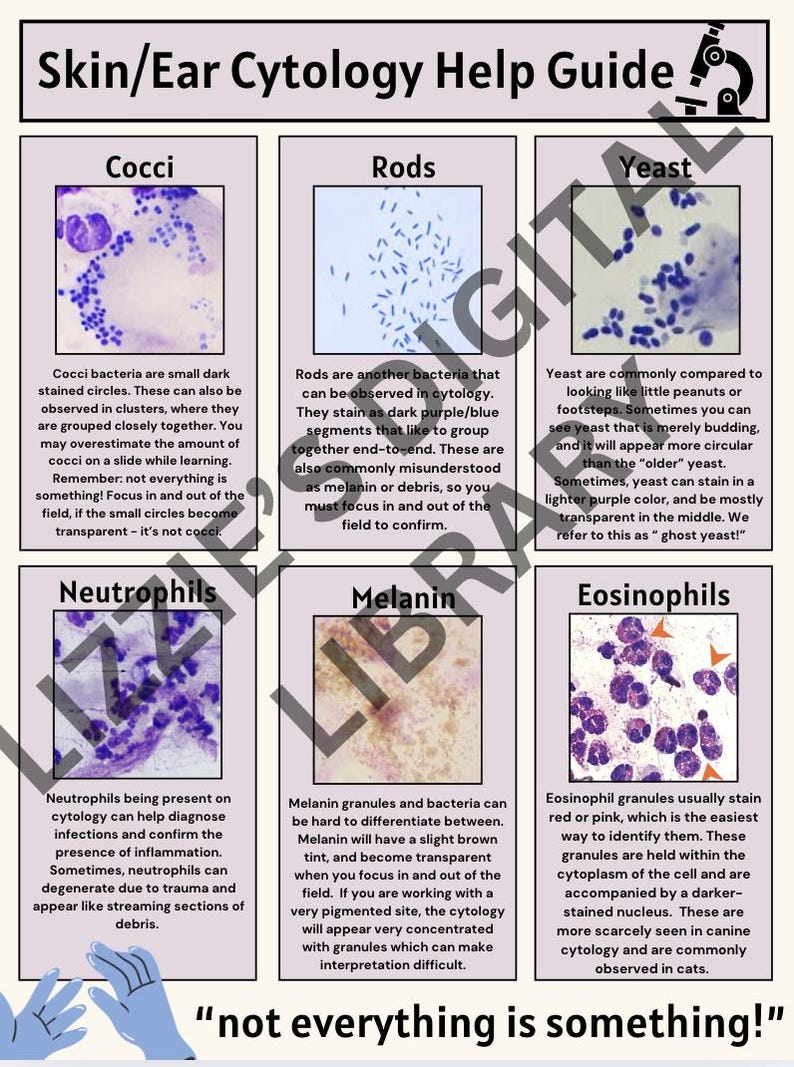 Veterinary Reference Poster: Skin/ear Cytology Help Guide (digital ...