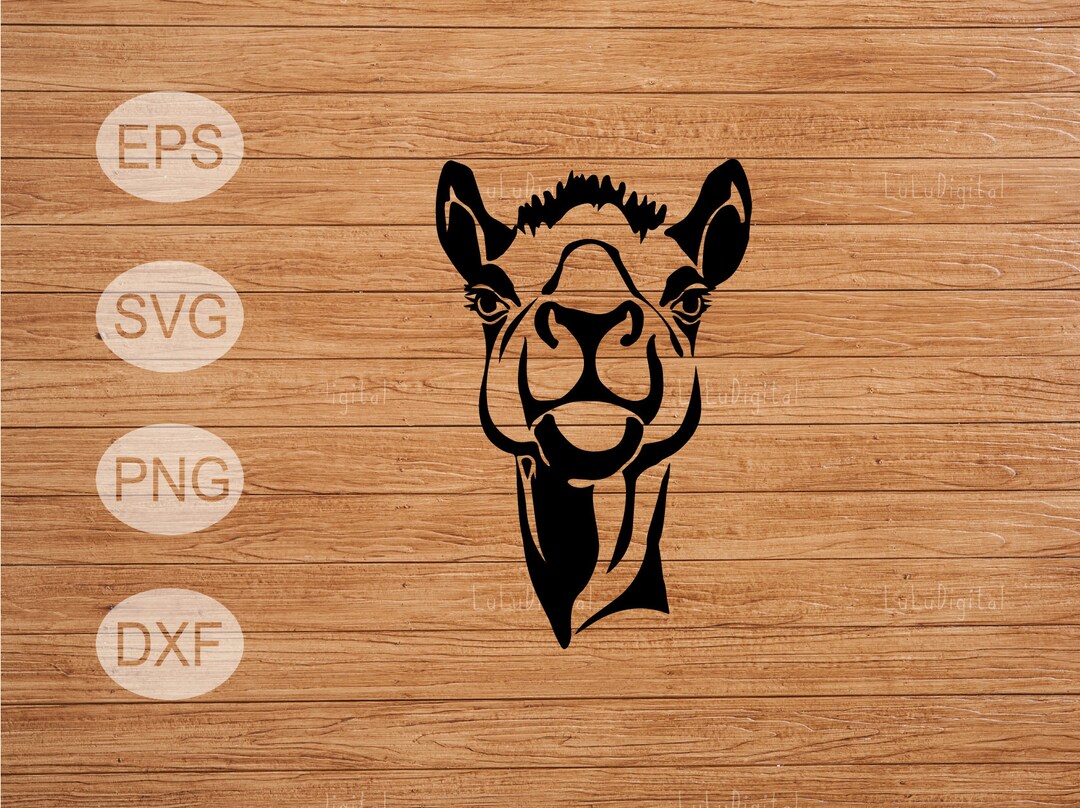 Camel Face, Camel Svg, Vector, Svg, Eps, Png, Dxf, Instant Download - Etsy