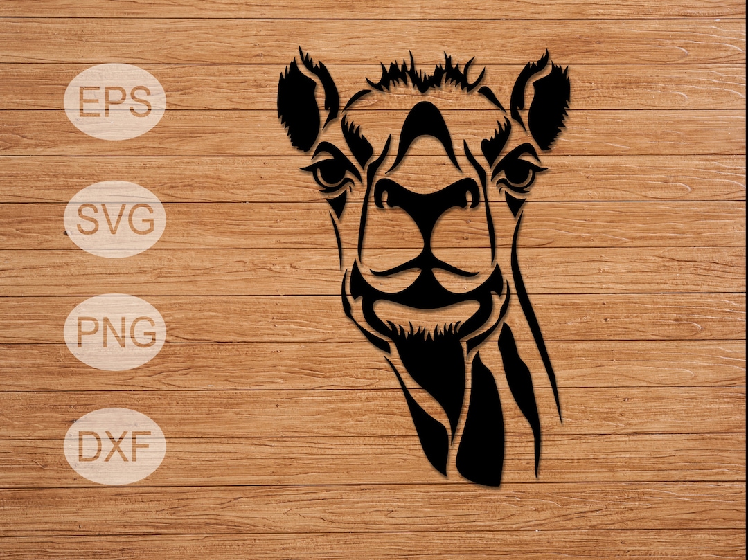 Camel Cut Files, Animal Svg, Camel Clipart, Camel Head, Camel Face ...