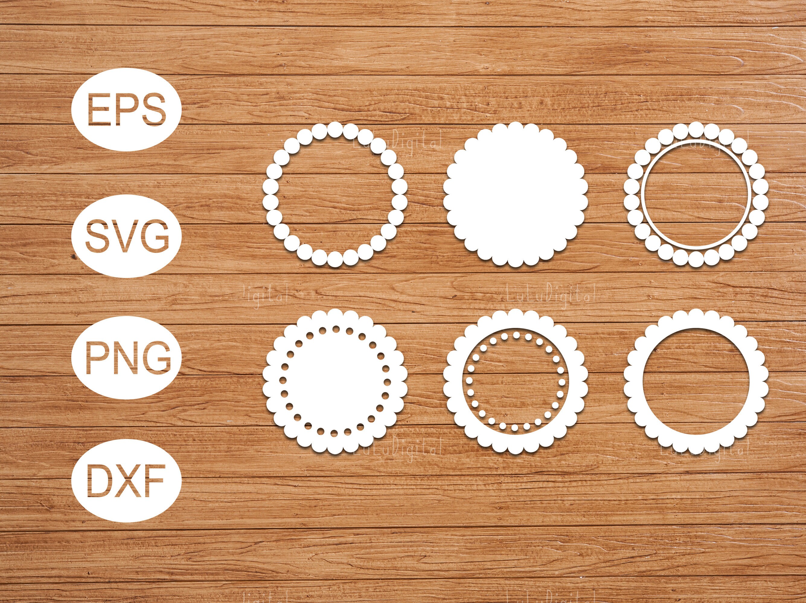 Circle Dotted Frames / Svg, Png, Eps, Dxf - Etsy