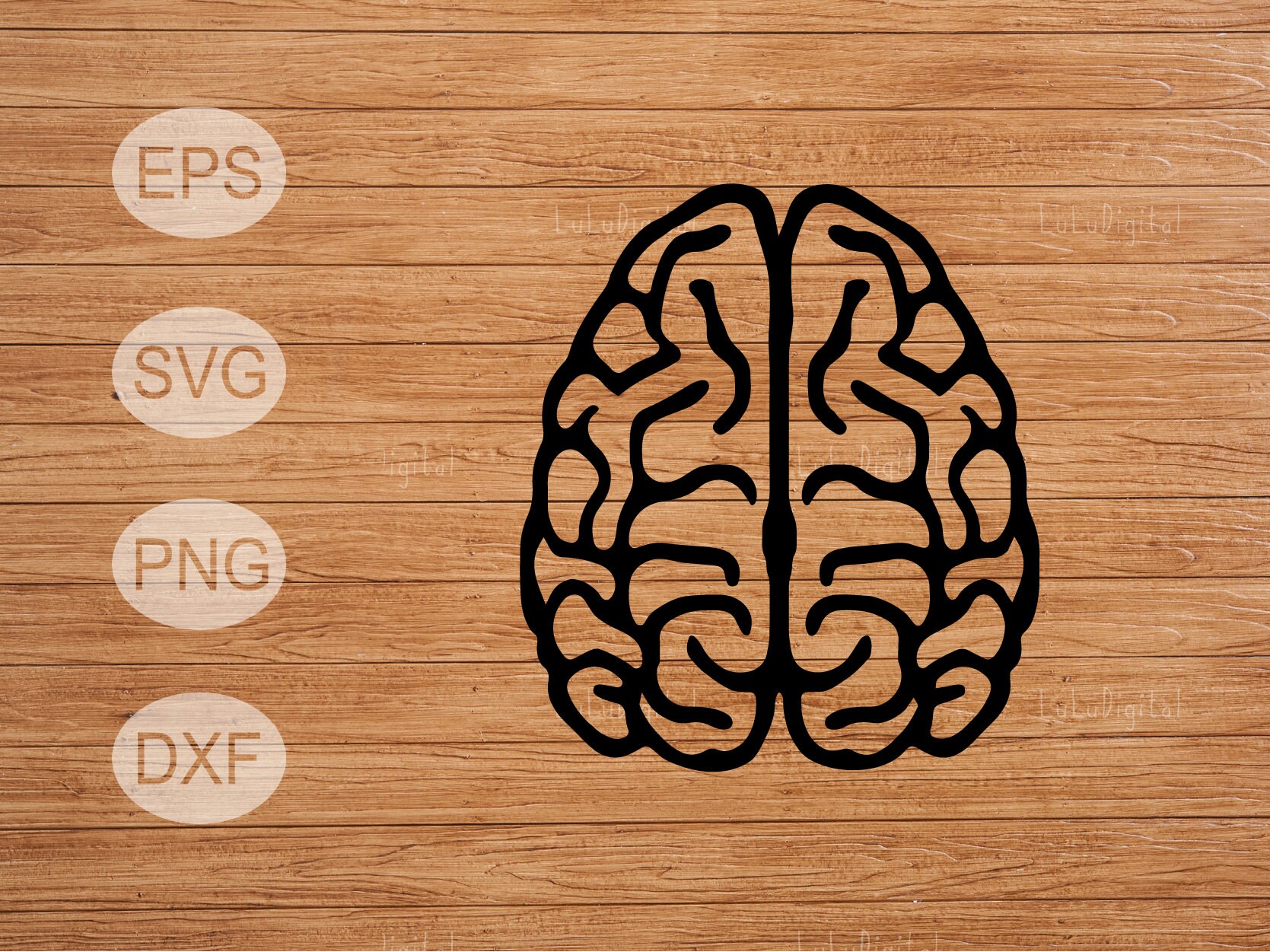 Brain Cut File, Brain Clipart, Brain Cricut, Brain Svg, Brain Icon ...