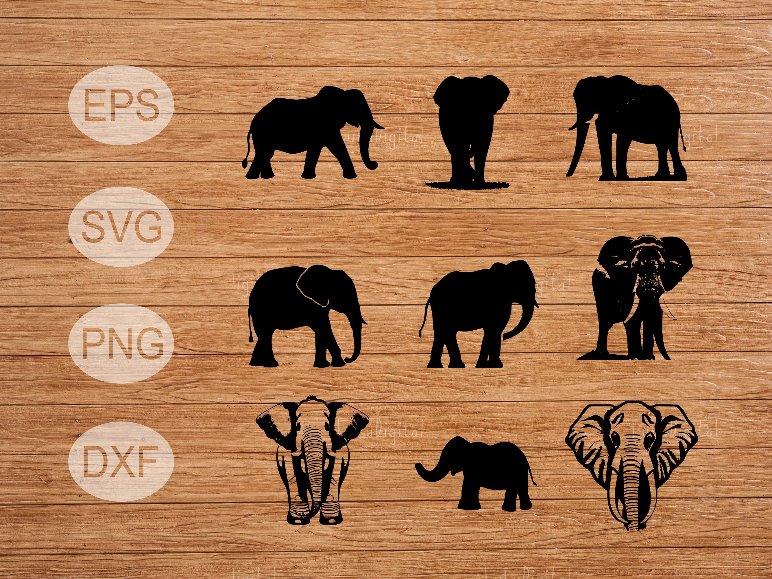 Elephants Bundle Elephant Png Baby Elephant Svg Elephant - Etsy