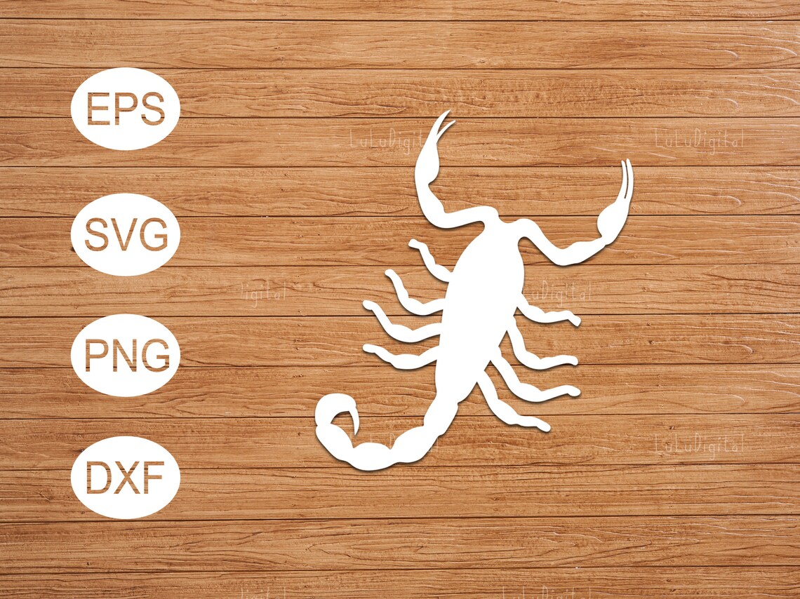 Silhouette of Scorpion / Svg Files for Cricut, Scorpion Cut File / Svg ...