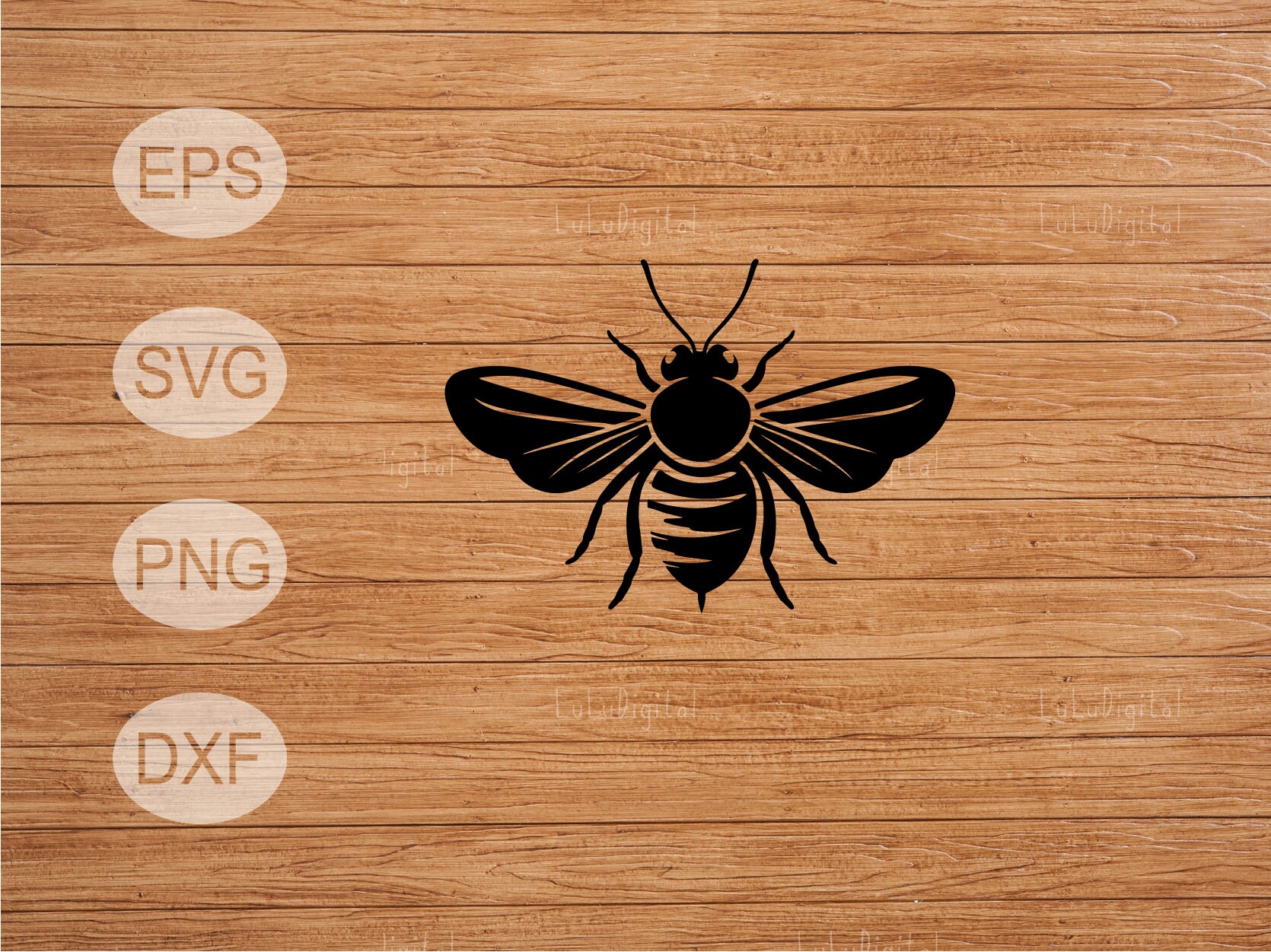 Bee Clipart Bee Cricut Bee Cut File Bee Png Bee - Etsy