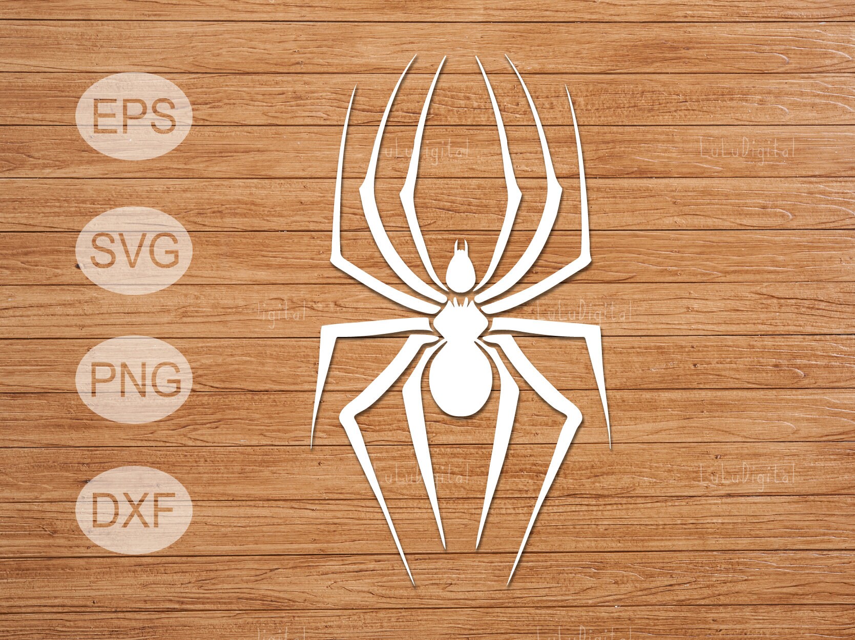 Spider, Spider Cut File, Spider Vector, Svg, Png, Dxf, Eps, Instant ...