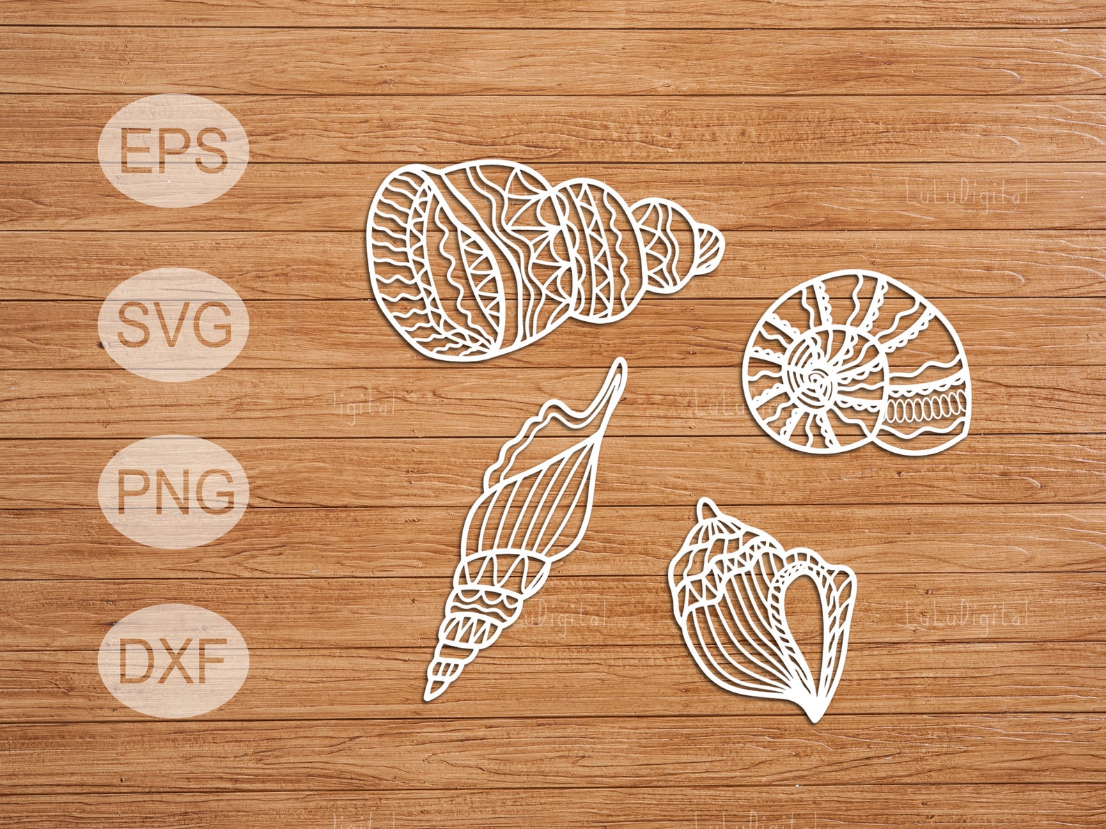 Seashell SVG Bundle Sea Shell Clipart Seashell Cricut - Etsy