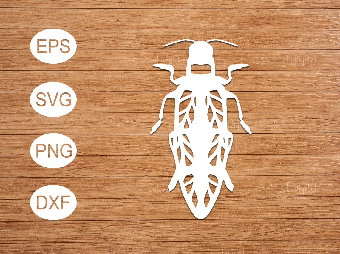 Insect Svg / Bug Svg / Bug Silhouette / Svg, Png, Dxf, Eps - Etsy