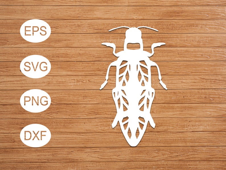 Insect Svg / Bug Svg / Bug Silhouette / Svg, Png, Dxf, Eps - Etsy