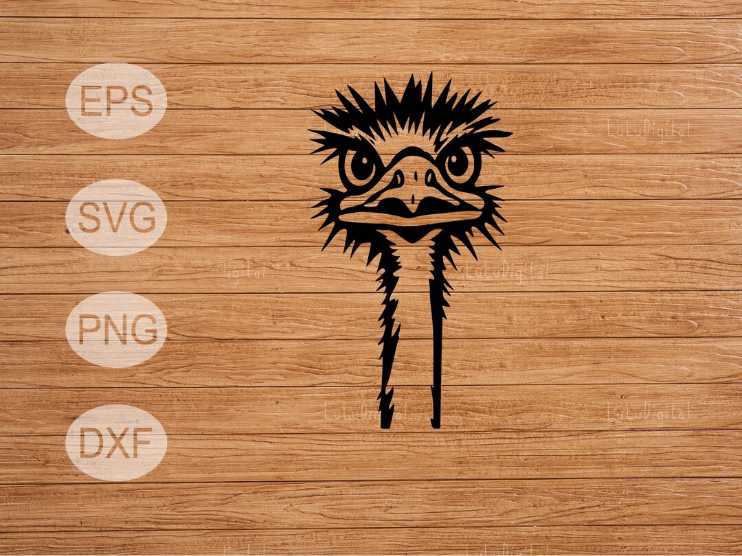 Ostrich Head Vector, Farm Animal Svg, Ostrich Svg, Svg Files for Cricut ...