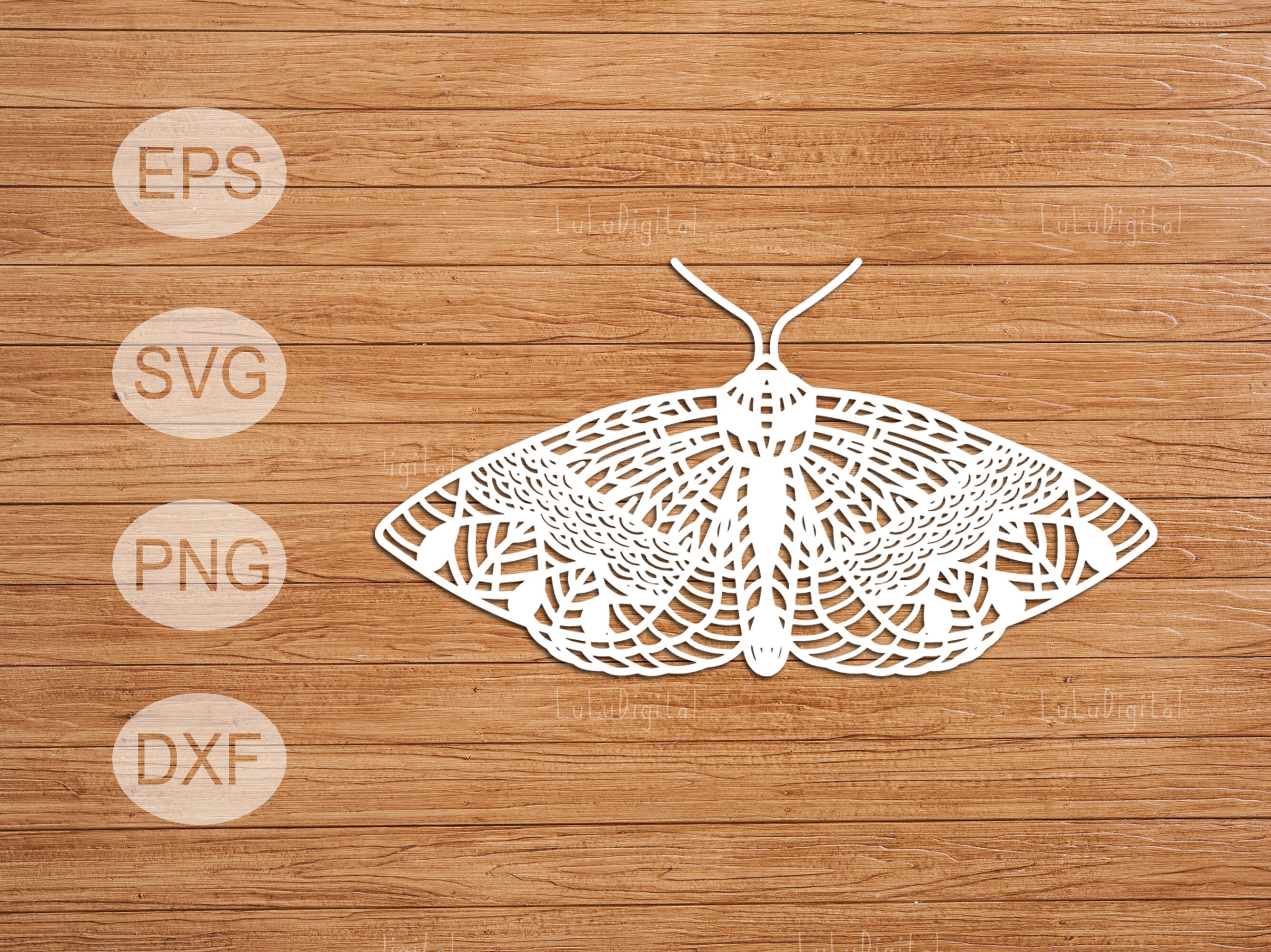 Moth Svg Butterfly Svg Celestial Svg Mystical Svg Boho - Etsy